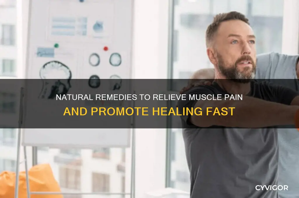 Natural Remedies To Relieve Muscle Pain And Promote Healing Fast | CyVigor