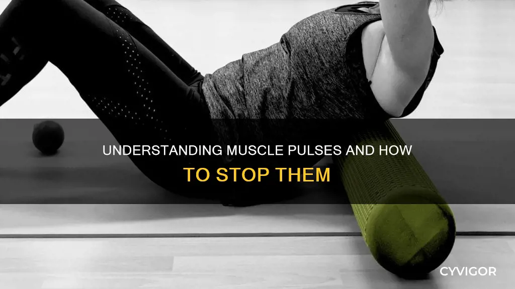 Understanding Muscle Pulses And How To Stop Them | CyVigor