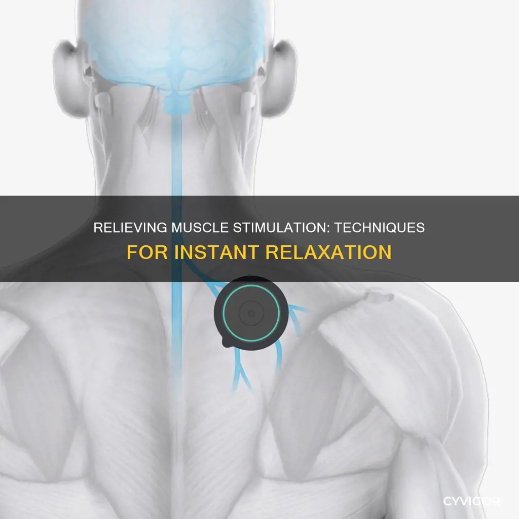 Relieving Muscle Stimulation: Techniques For Instant Relaxation | CyVigor