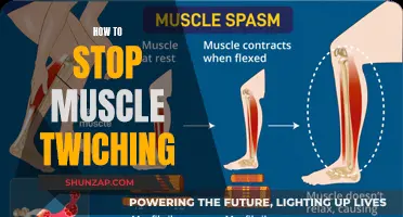 Stretching Intercostal Muscles: Techniques For Relief And Better ...