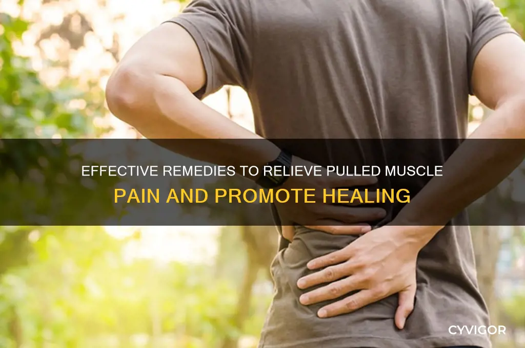 Effective Remedies To Relieve Pulled Muscle Pain And Promote Healing ...