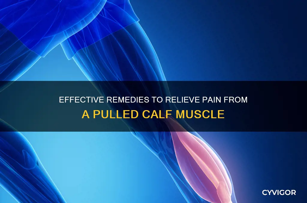 Effective Remedies To Relieve Pain From A Pulled Calf Muscle | CyVigor