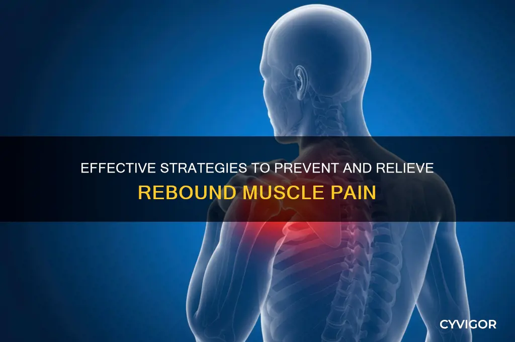 Effective Strategies To Prevent And Relieve Rebound Muscle Pain | CyVigor