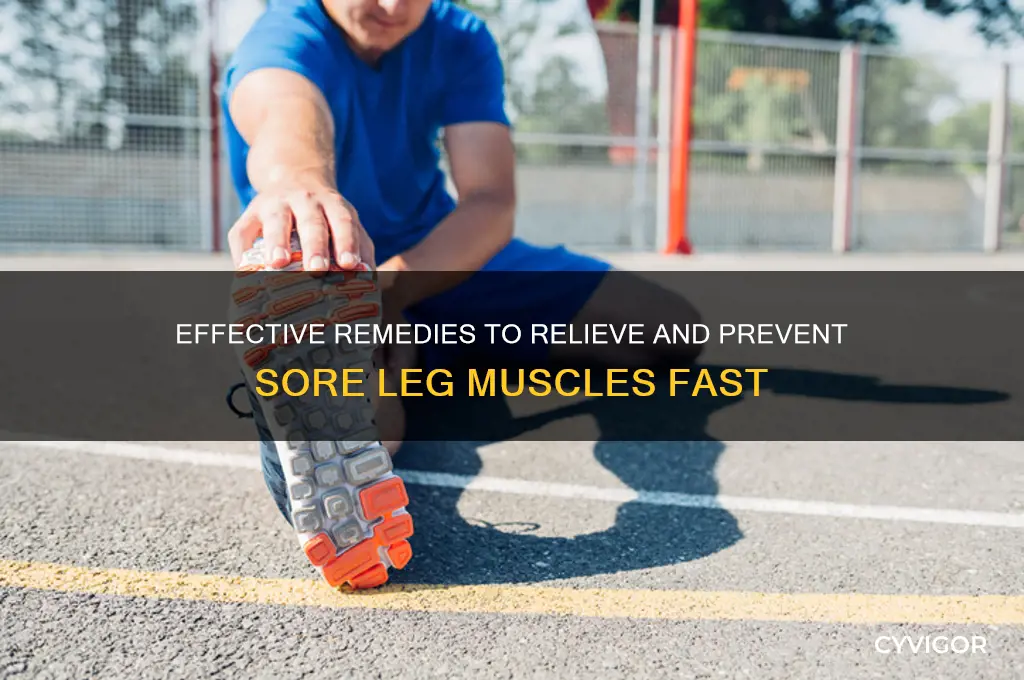 Effective Remedies To Relieve And Prevent Sore Leg Muscles Fast | CyVigor