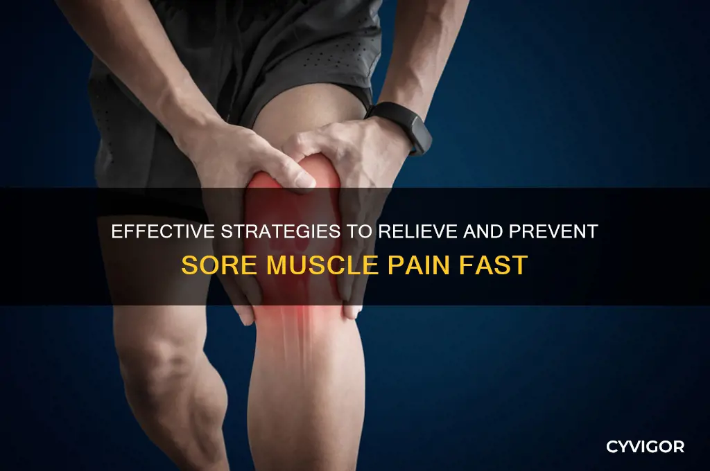 Effective Strategies To Relieve And Prevent Sore Muscle Pain Fast | CyVigor