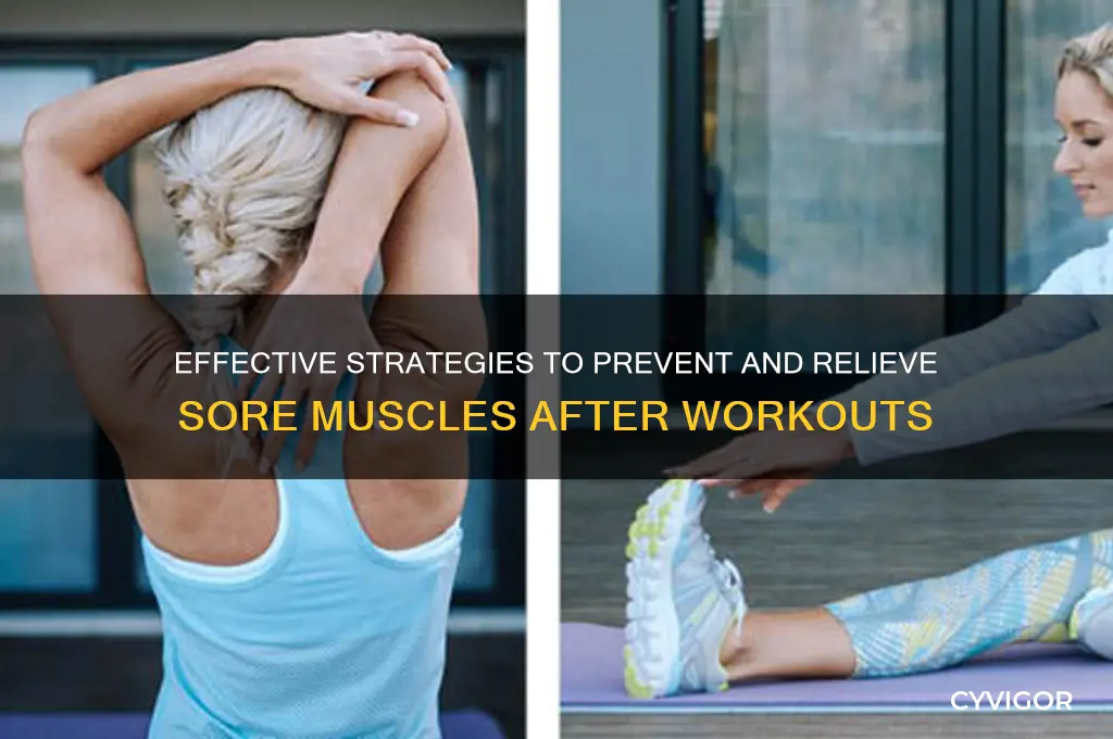 Effective Strategies To Prevent And Relieve Sore Muscles After Workouts ...