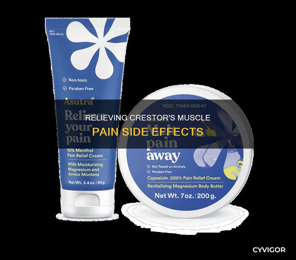 Relieving Crestor's Muscle Pain Side Effects | CyVigor