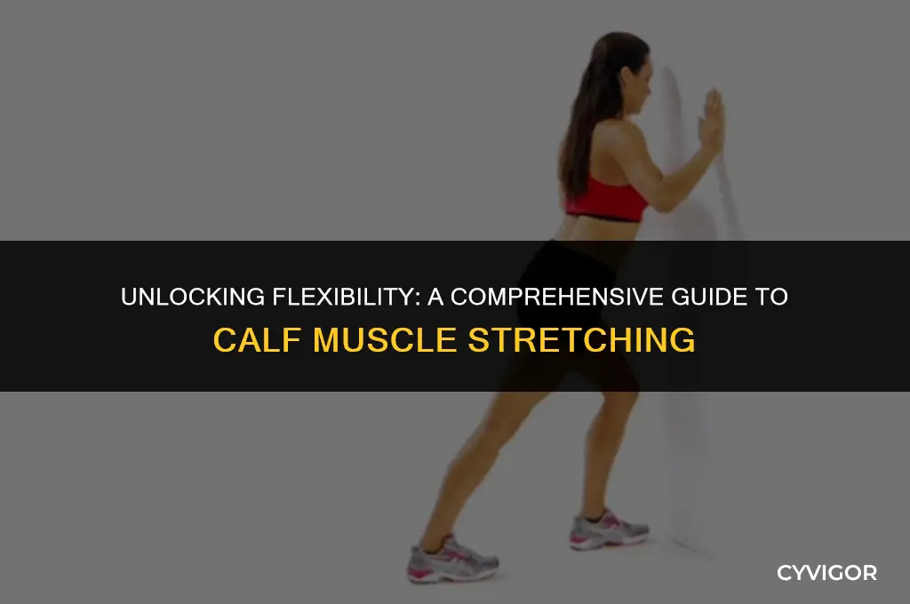 Unlocking Flexibility: A Comprehensive Guide To Calf Muscle Stretching ...