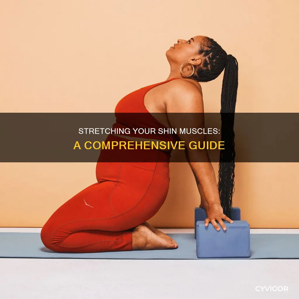 Stretching Your Shin Muscles: A Comprehensive Guide | CyVigor