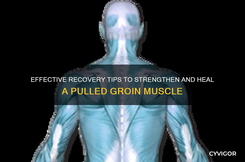 Effective Recovery Tips To Strengthen And Heal A Pulled Groin Muscle ...