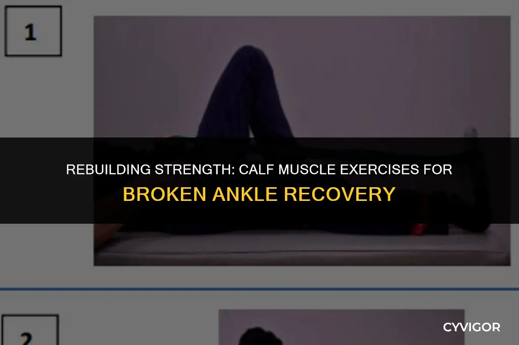 Rebuilding Strength: Calf Muscle Exercises For Broken Ankle Recovery ...