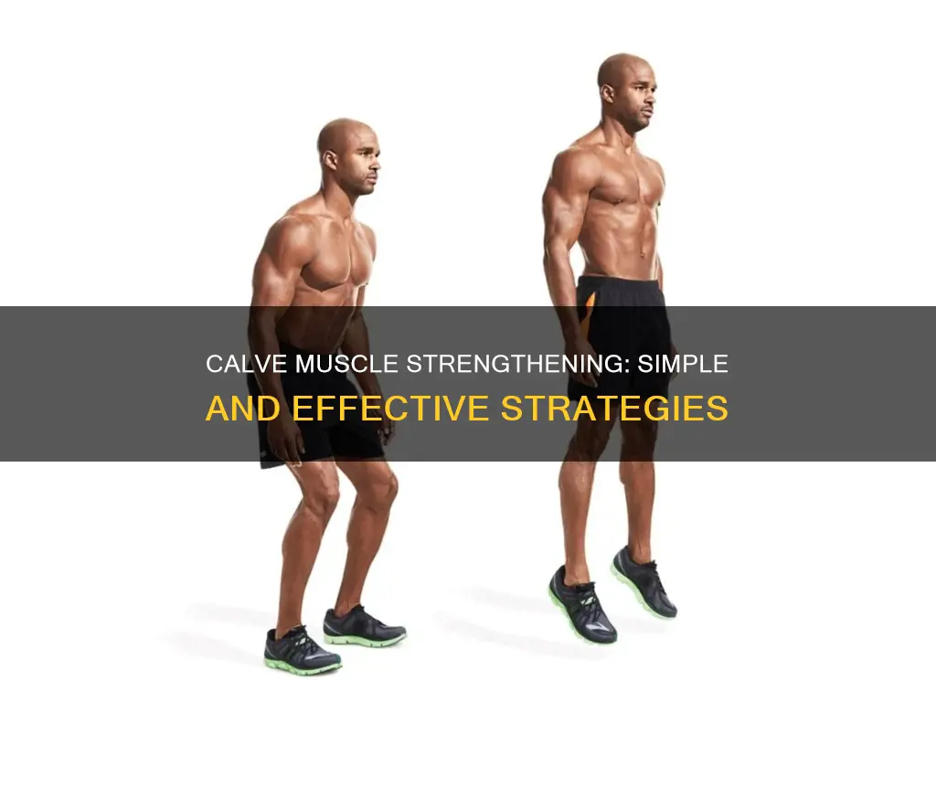 Calve Muscle Strengthening: Simple And Effective Strategies | CyVigor