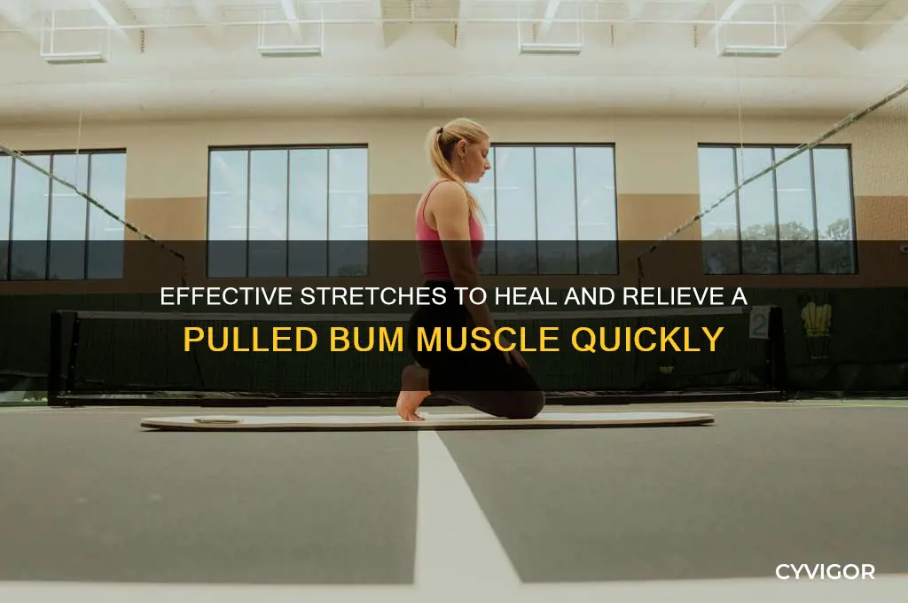 Effective Stretches To Heal And Relieve A Pulled Bum Muscle Quickly ...