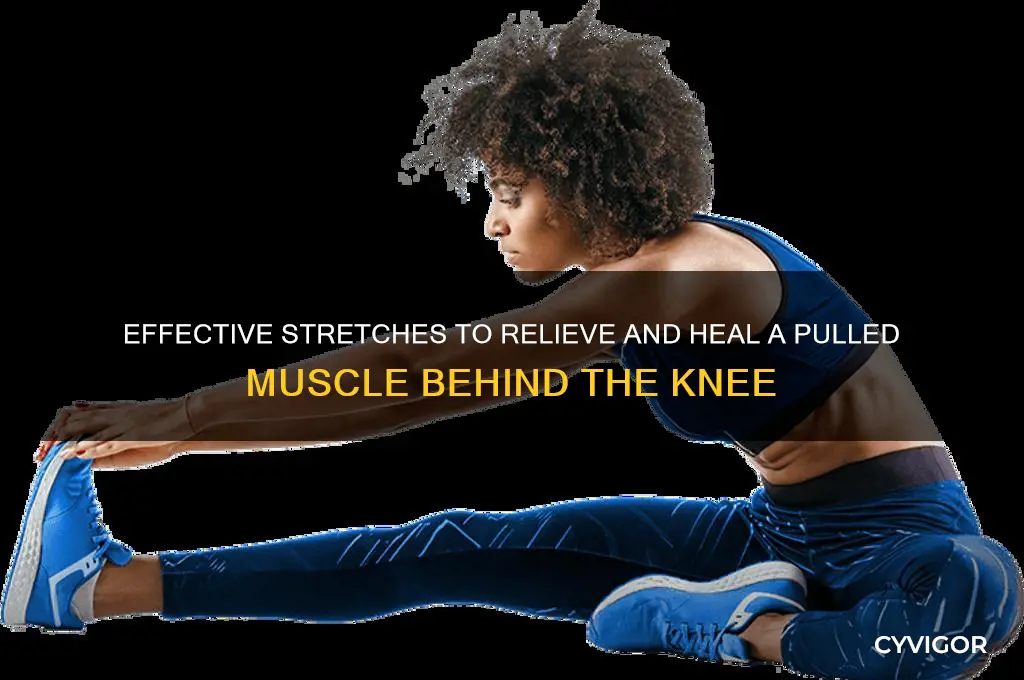 Effective Stretches To Relieve And Heal A Pulled Muscle Behind The Knee ...