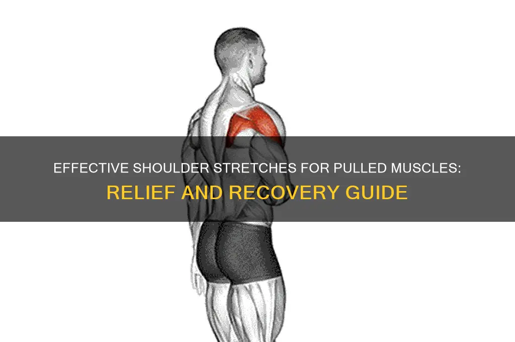 Effective Shoulder Stretches For Pulled Muscles: Relief And Recovery ...