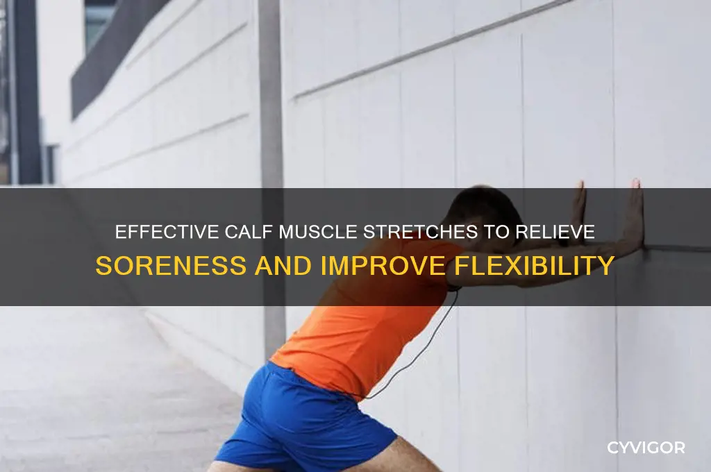 Effective Calf Muscle Stretches To Relieve Soreness And Improve ...