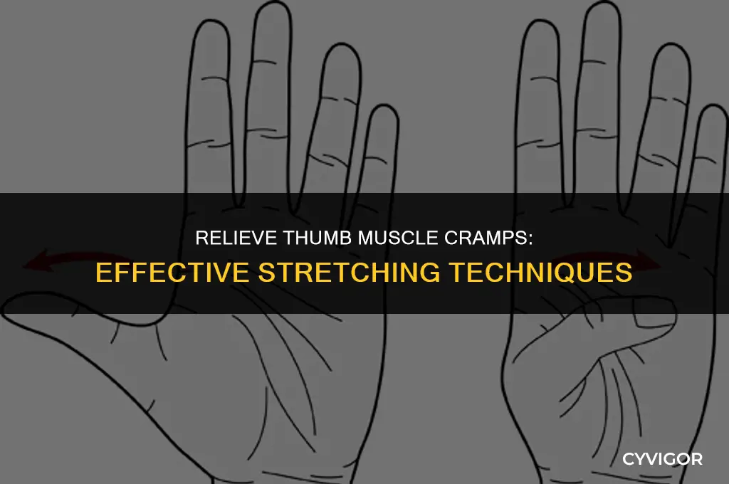 Relieve Thumb Muscle Cramps: Effective Stretching Techniques | CyVigor