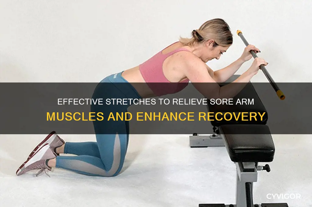 Effective Stretches To Relieve Sore Arm Muscles And Enhance Recovery ...