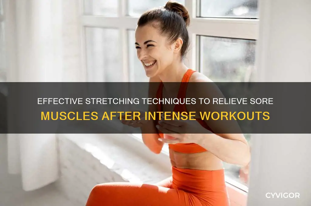 Effective Stretching Techniques To Relieve Sore Muscles After Intense ...