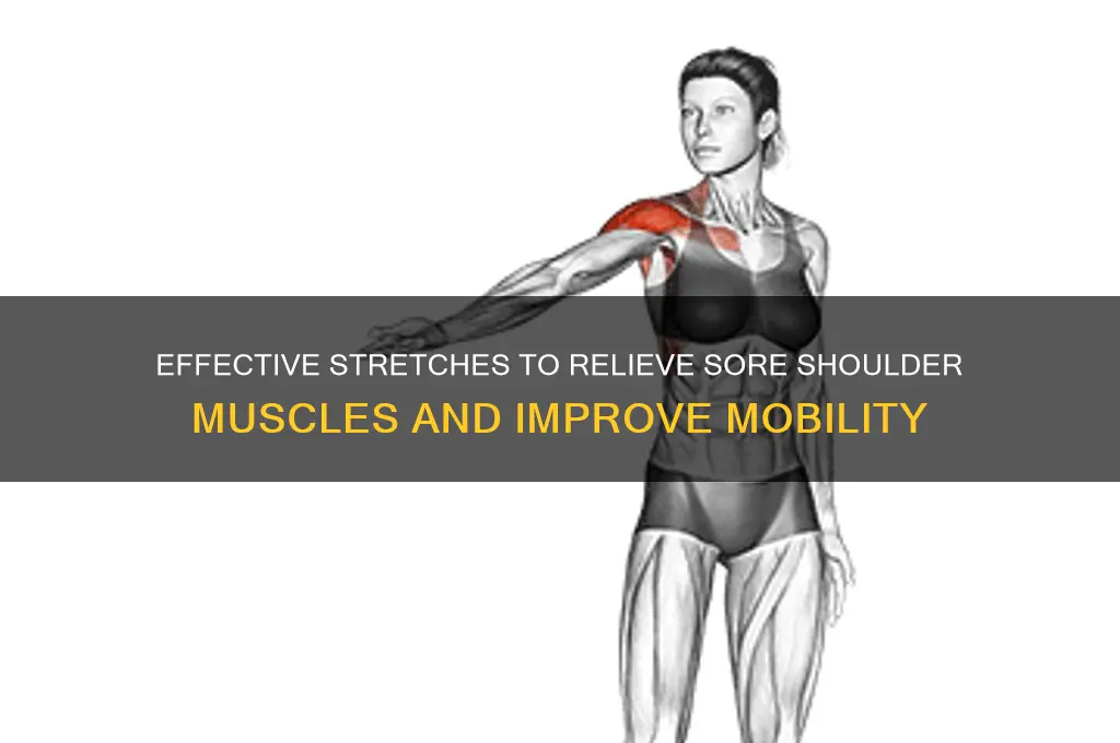 Effective Stretches To Relieve Sore Shoulder Muscles And Improve ...