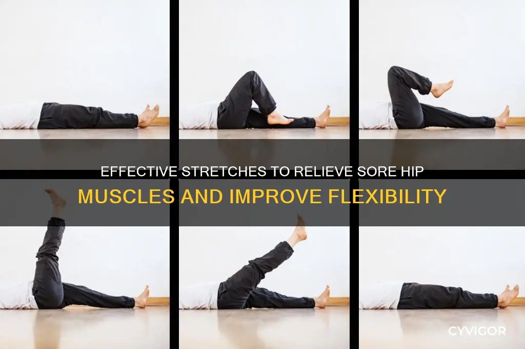 Effective Stretches To Relieve Sore Hip Muscles And Improve Flexibility ...