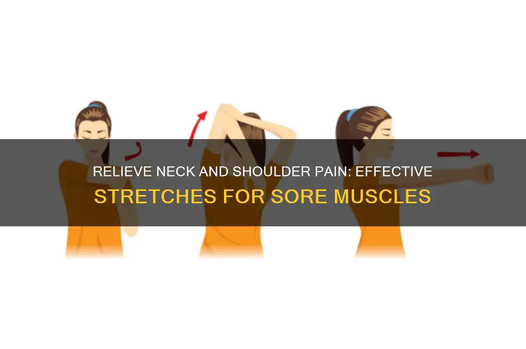 Relieve Neck And Shoulder Pain: Effective Stretches For Sore Muscles ...