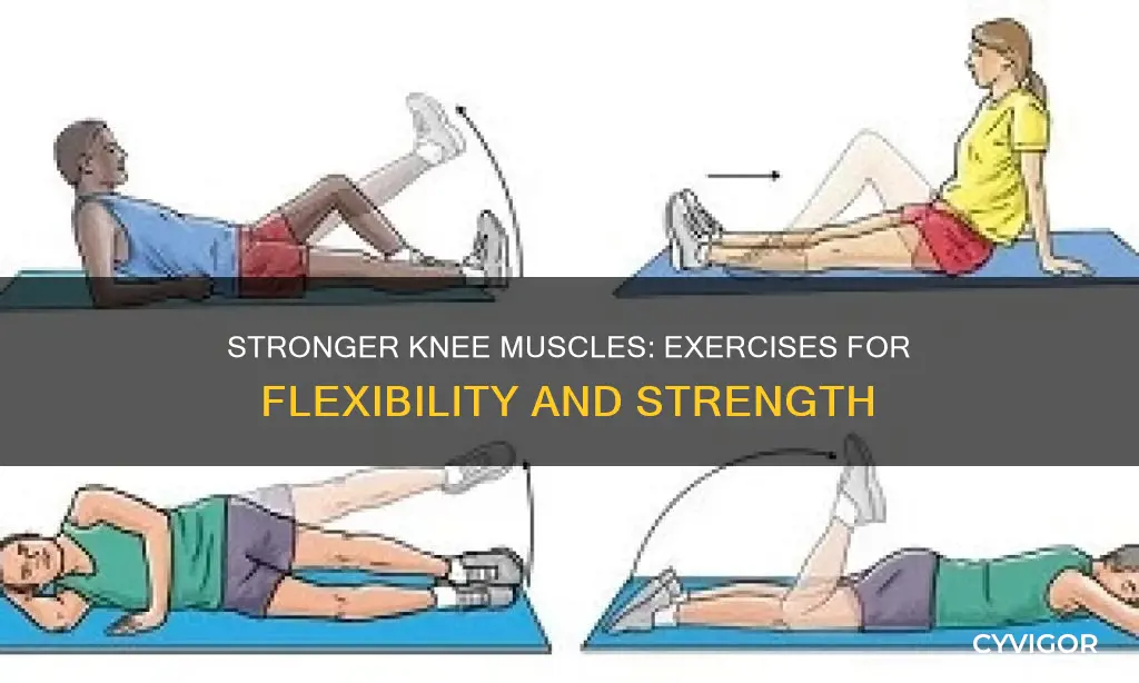 Stronger Knee Muscles: Exercises For Flexibility And Strength | CyVigor
