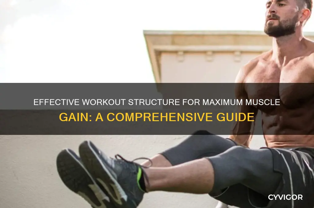 Effective Workout Structure For Maximum Muscle Gain: A Comprehensive ...