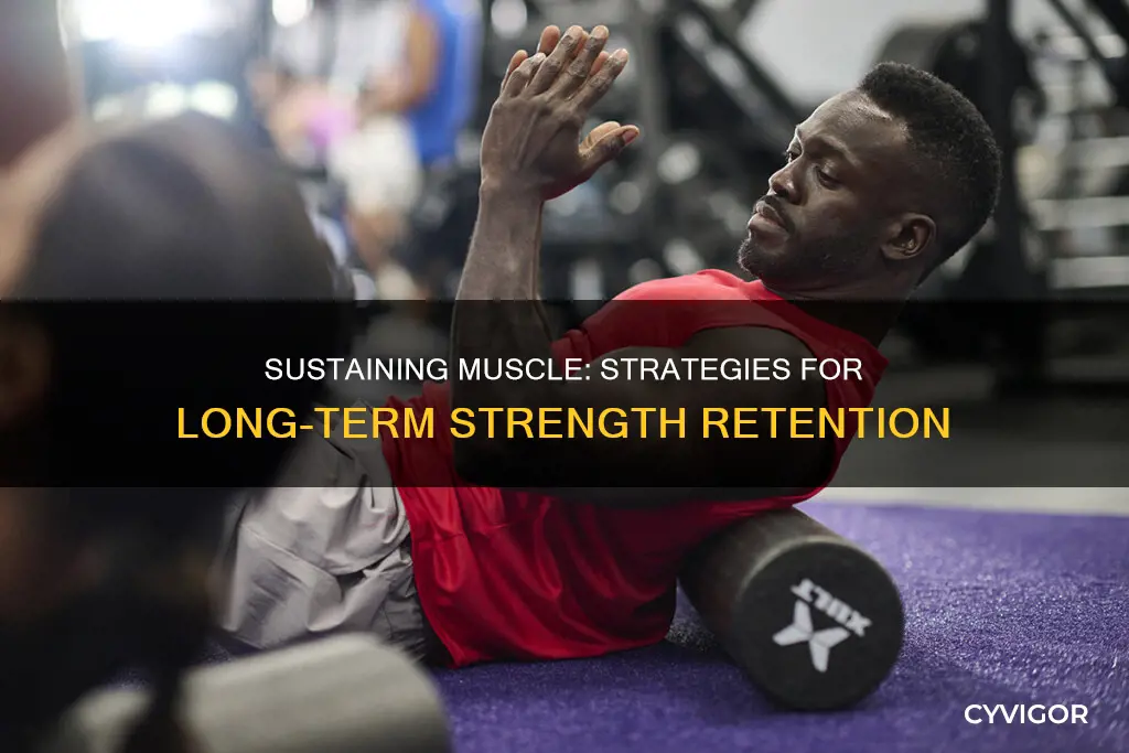 Sustaining Muscle: Strategies For Long-Term Strength Retention | CyVigor