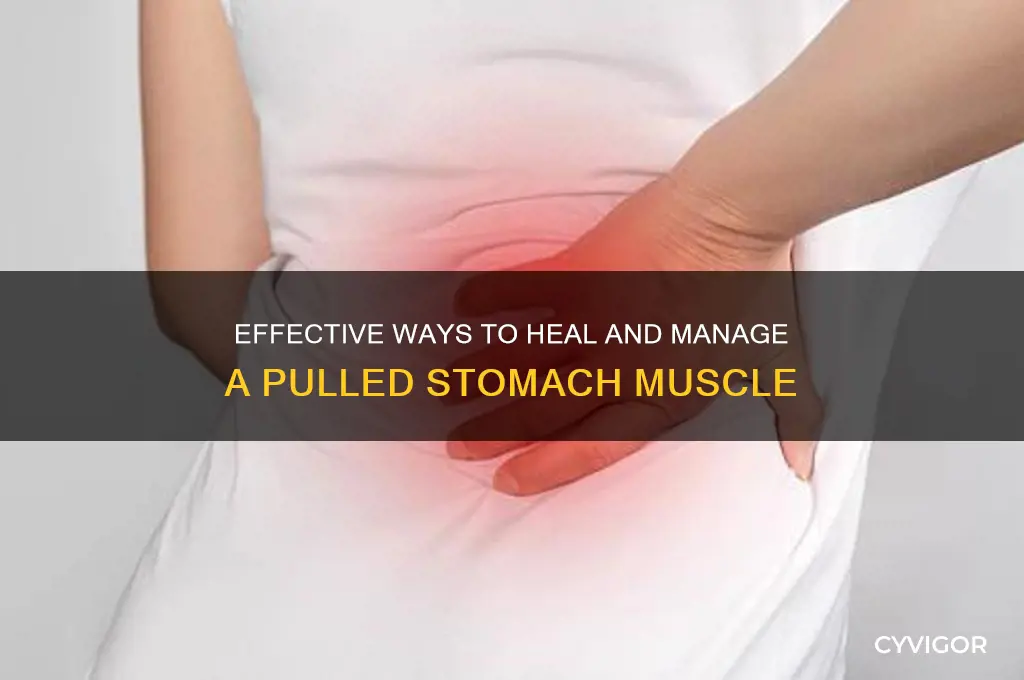 Effective Ways To Heal And Manage A Pulled Stomach Muscle | CyVigor