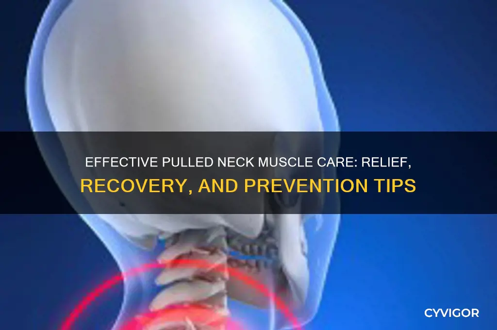 Effective Pulled Neck Muscle Care: Relief, Recovery, And Prevention ...