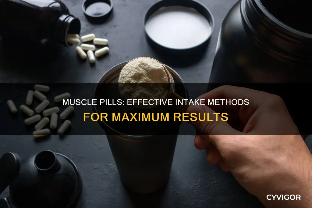 Muscle Pills: Effective Intake Methods For Maximum Results | CyVigor