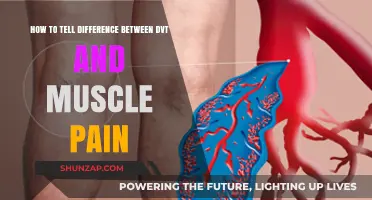 Muscle Or Tendon Pain: Identifying The Source And Relief | CyVigor