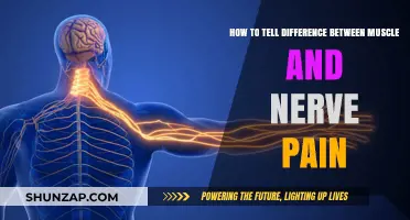 Kidney Pain Vs. Muscle Spasm: Identifying The Difference And Causes ...