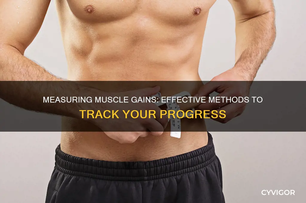Measuring Muscle Gains: Effective Methods To Track Your Progress | CyVigor