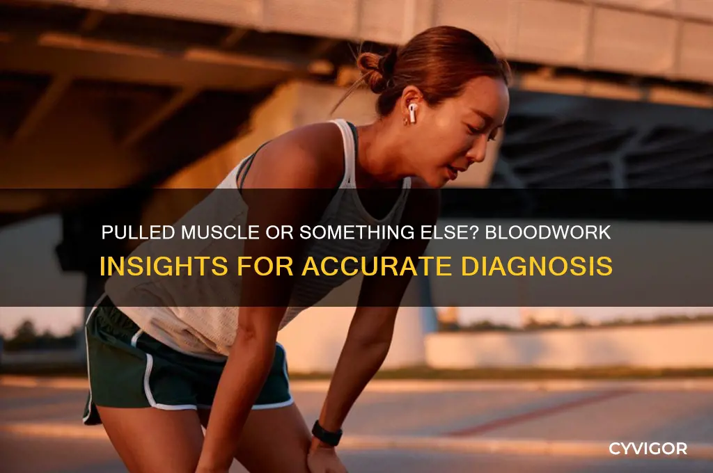Pulled Muscle Or Something Else? Bloodwork Insights For Accurate ...