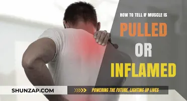 Pulled Pec Muscle: Symptoms, Causes, And Recovery Tips Revealed | CyVigor