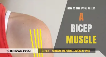 Identifying A Pulled Leg Muscle: Symptoms, Causes, And Quick Relief ...