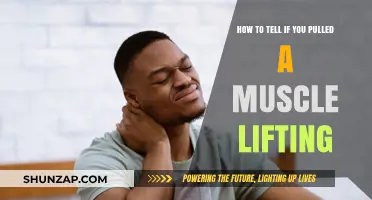 Identifying A Pulled Bicep Muscle: Symptoms, Causes, And Recovery Tips ...