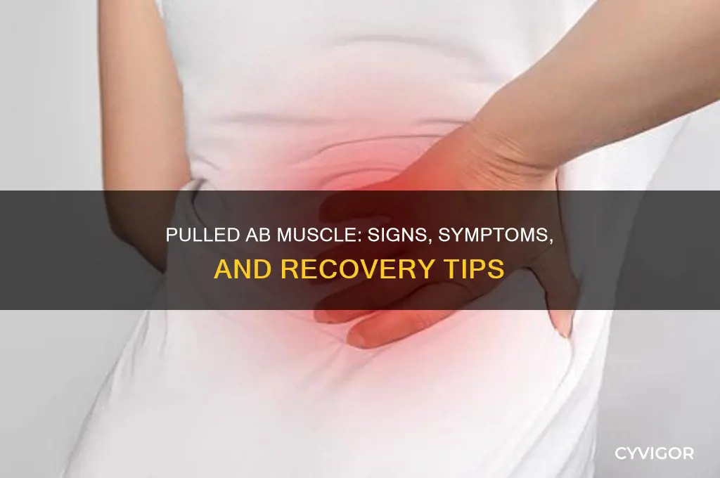 Pulled Ab Muscle: Signs, Symptoms, And Recovery Tips | CyVigor