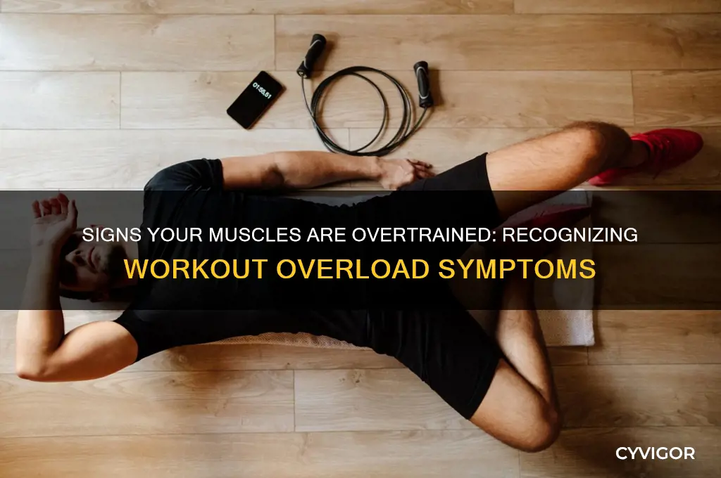 Signs Your Muscles Are Overtrained: Recognizing Workout Overload ...