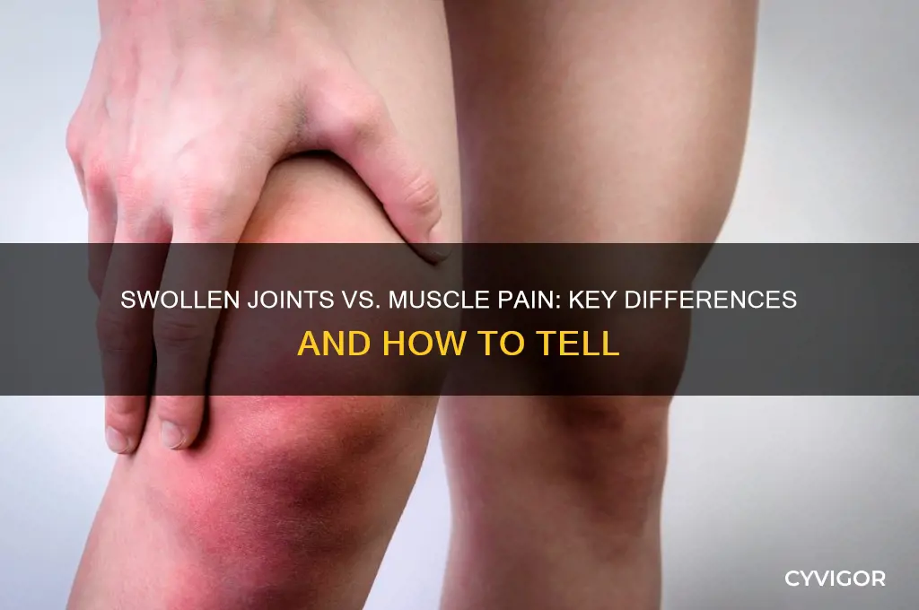 Swollen Joints Vs. Muscle Pain: Key Differences And How To Tell | CyVigor