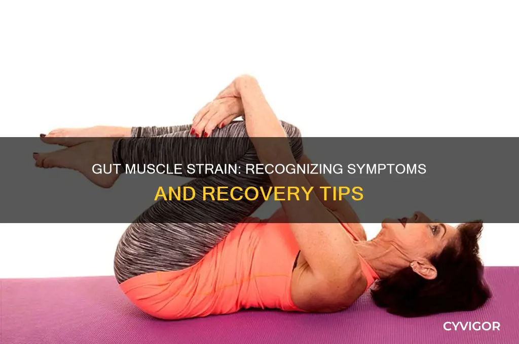 Gut Muscle Strain: Recognizing Symptoms And Recovery Tips | CyVigor