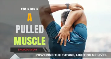Identifying A Pulled Bicep Muscle: Symptoms, Causes, And Recovery Tips ...