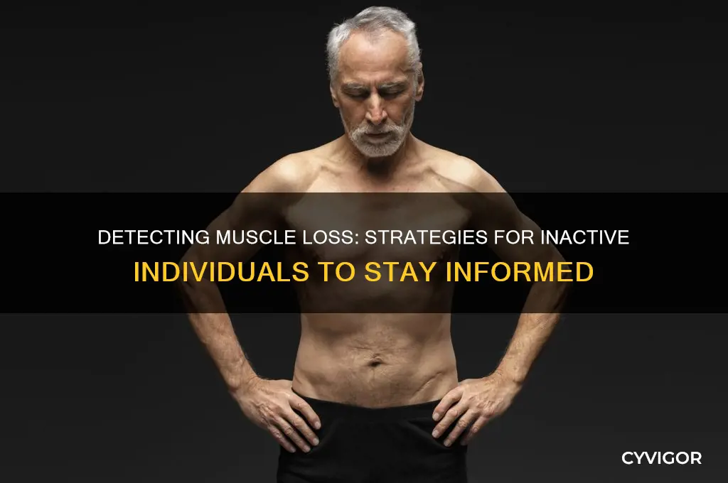 Detecting Muscle Loss: Strategies For Inactive Individuals To Stay ...