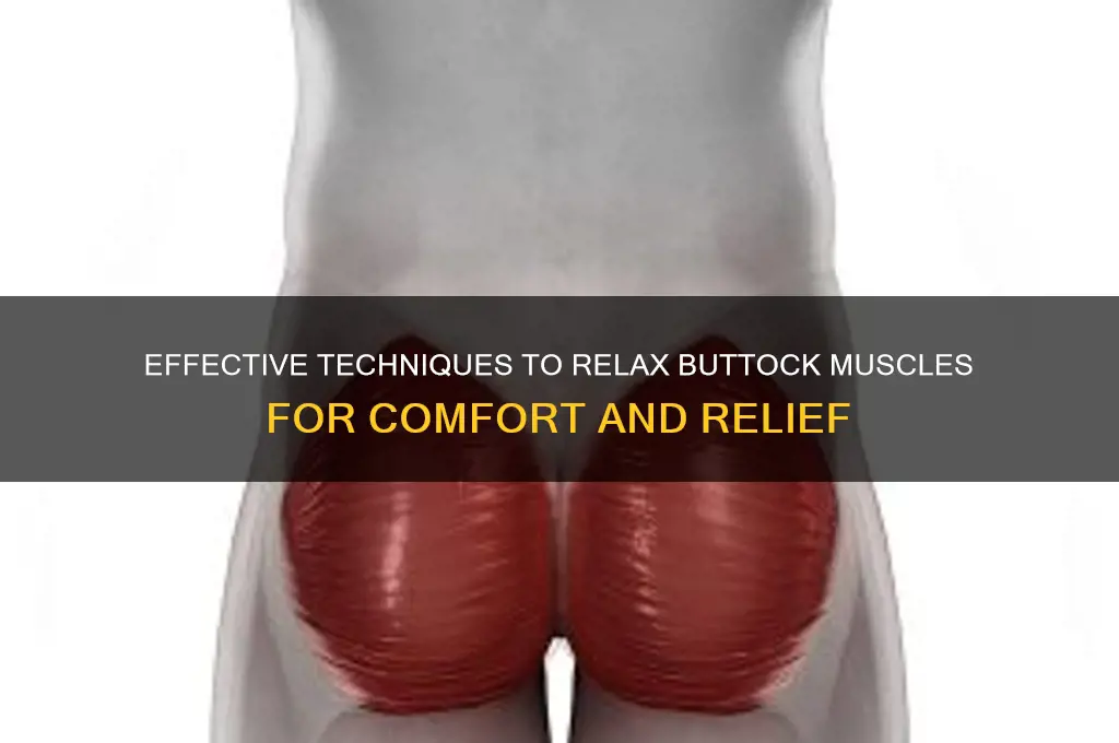 Effective Techniques To Relax Buttock Muscles For Comfort And Relief ...