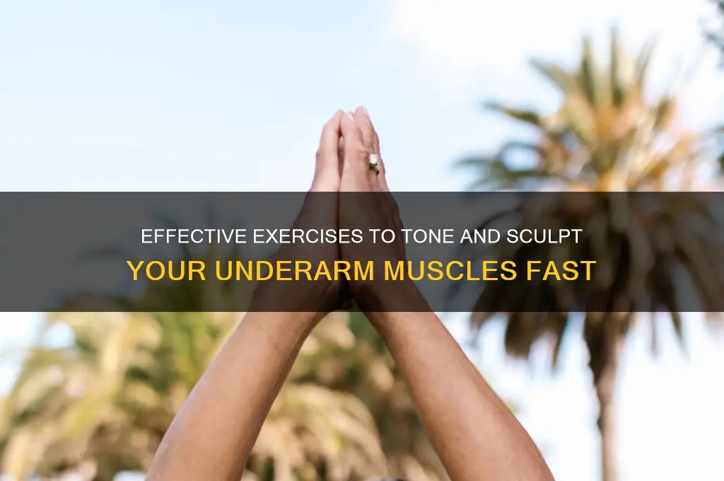Effective Exercises To Tone And Sculpt Your Underarm Muscles Fast | CyVigor