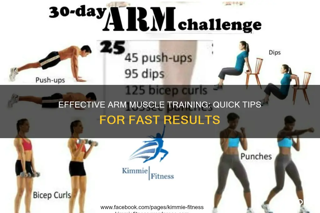 Effective Arm Muscle Training: Quick Tips For Fast Results | CyVigor