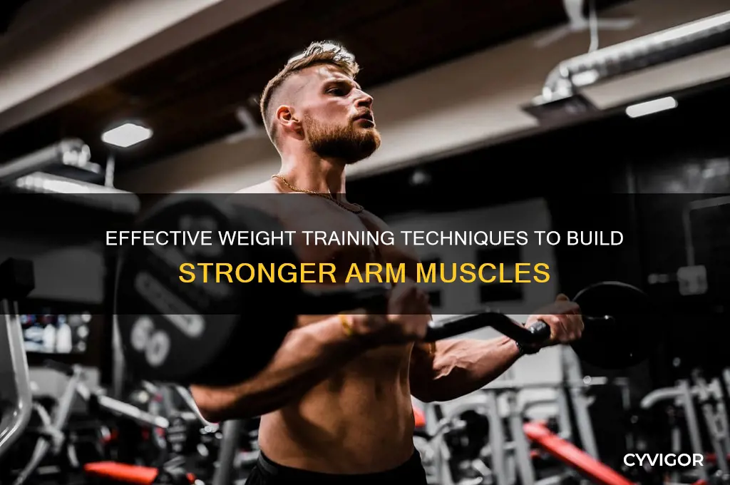Effective Weight Training Techniques To Build Stronger Arm Muscles ...