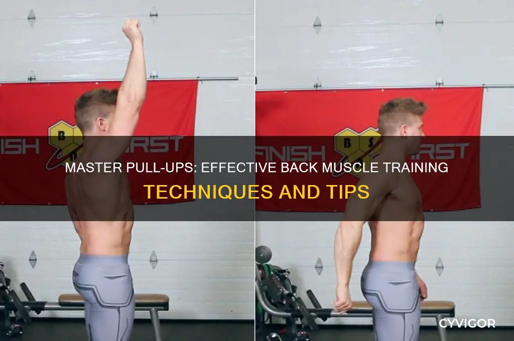Master Pull-Ups: Effective Back Muscle Training Techniques And Tips ...